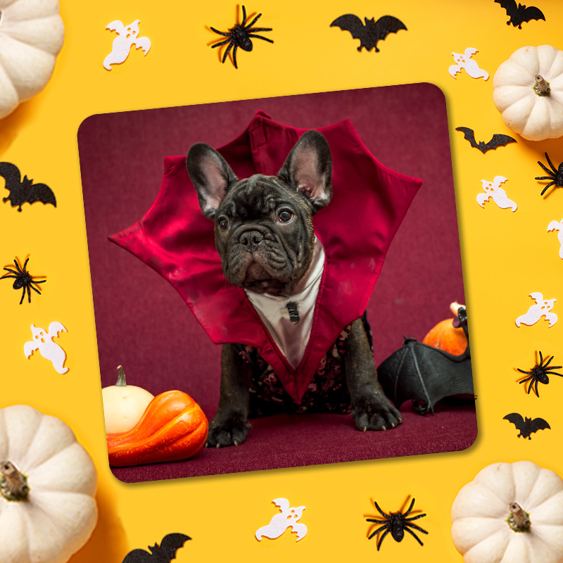 Custom Halloween Decorations: Shop at Imprint.Com - Imprint.Com