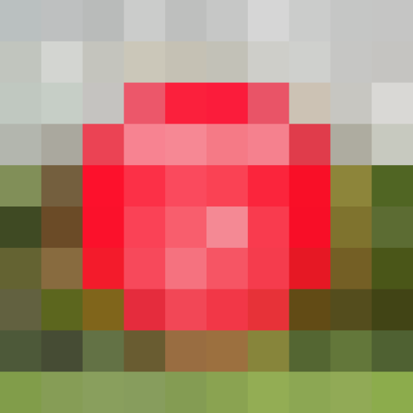 Stop Sign Yard Signs | Custom Shaped Yard Signs