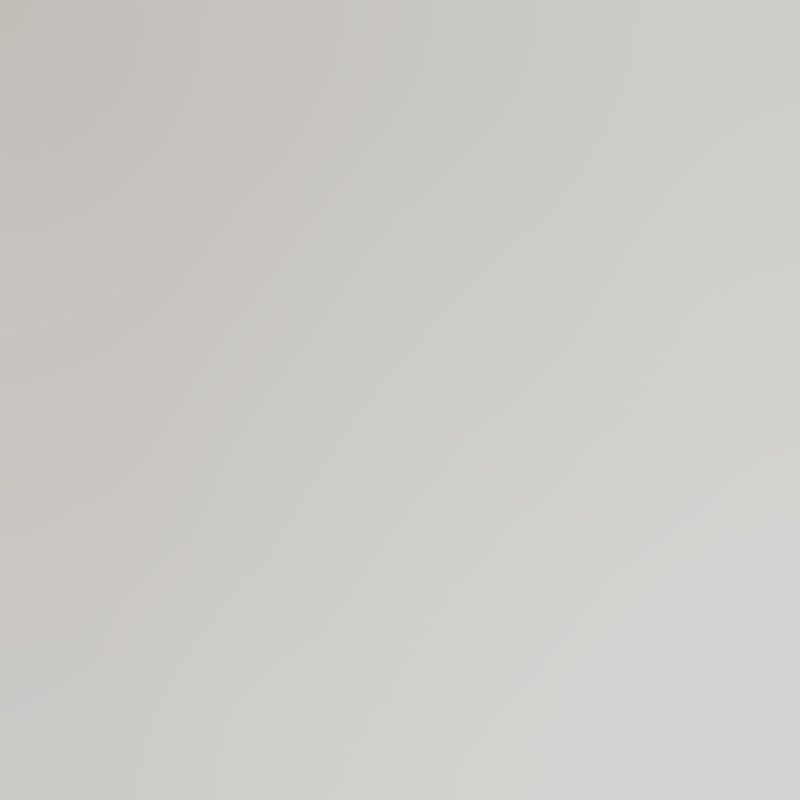 Circle Hand Fans - Imprint.Com