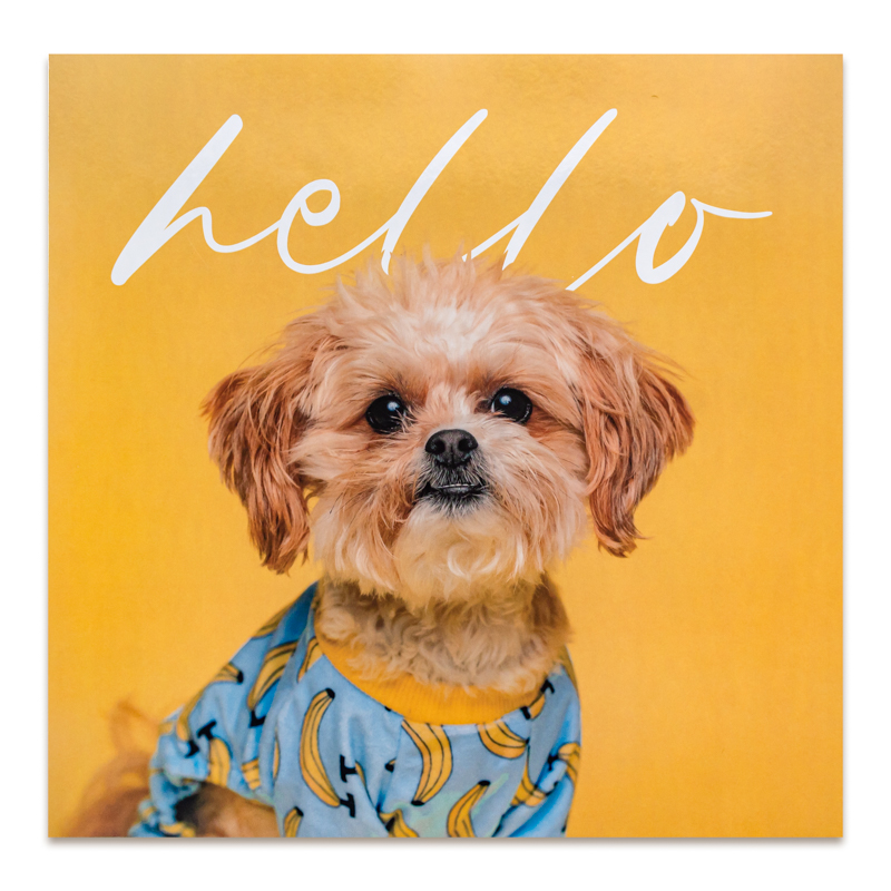 Custom Square Magnets | Magnets - RushService.Com